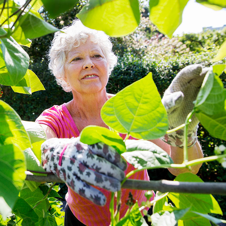 Når du får tidlig pension